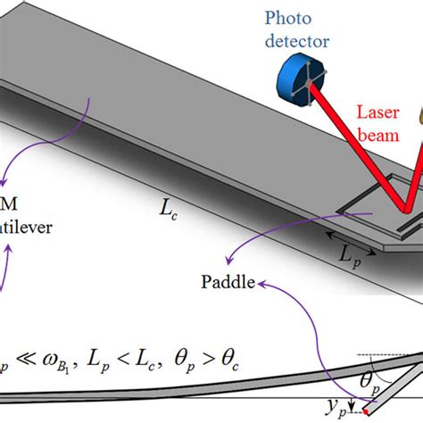A Schematic Diagram Illustrating The Concept Of Low Frequency Download Scientific Diagram
