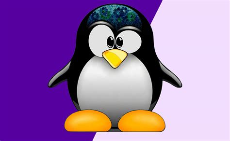 Linux 5 13 Co Nowego