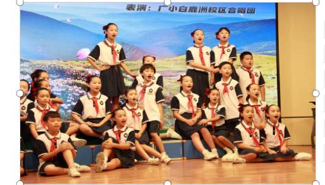 鹿城区教育研究院 小学教研动态 聚焦新课标 共研作业设计与管理