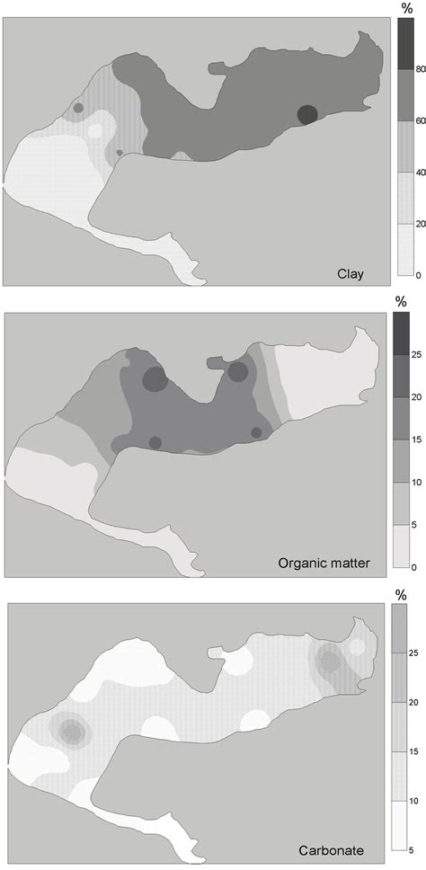 Spatial Distribution Patterns Of Clay Organic Matter And Calcium
