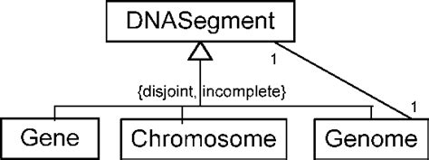 Figure 5 From Management Of Correctness Problems In Uml Class Diagrams Towards A Pattern Based