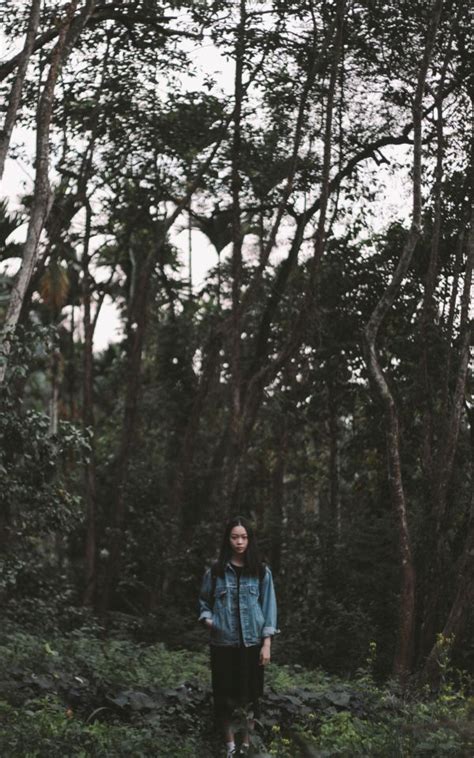 Free Images Tree Nature Forest Walking People Wood Hiking