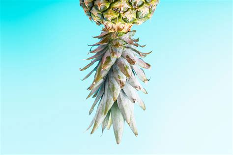 What Does An Upside Down Pineapple Mean The Us Sun