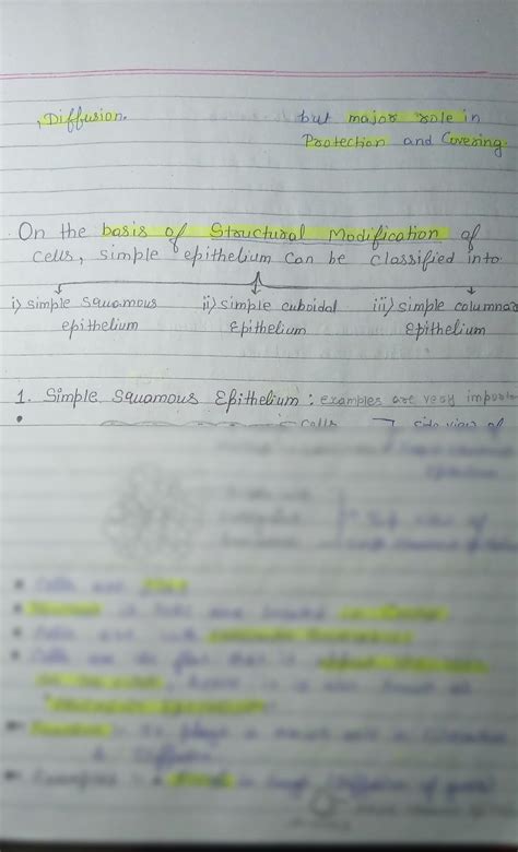 Solution Epithelium Tissue Detailed Notes With Difference Between Simple Cuboidal Columnar Full
