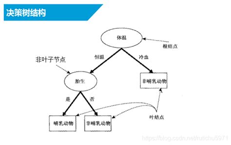 数据仓库与数据挖掘 分类预测与决策树 个人笔记在决策树分类器中 对应着问题的分类结果。 A根节点 B叶子结点 C分支节 Csdn博客