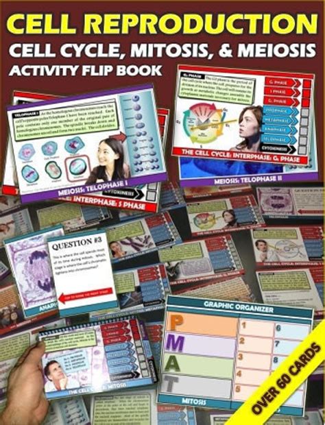 Mitosis Flip Book Example