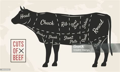 고기 인하 쇠고기 인하입니다 식당이 나 정육점이 게 빈티지 포스터입니다 레트로 다이어그램입니다 벡터 일러스트입니다 소고기에 대한 스톡 벡터 아트 및 기타 이미지 Istock