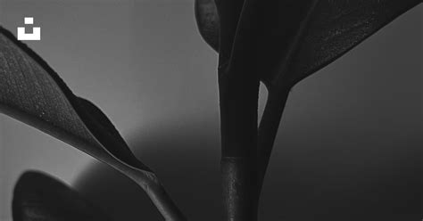 칼의 클로즈업 사진 Unsplash의 무료 회색 이미지