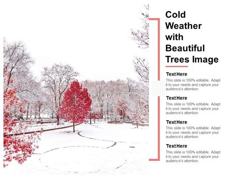 Cold Weather With Beautiful Trees Image Ppt Powerpoint Presentation File Template