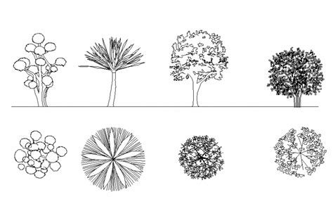 Multiple Ornamental Tree And Plant Blocks Cad Drawing Details Dwg File