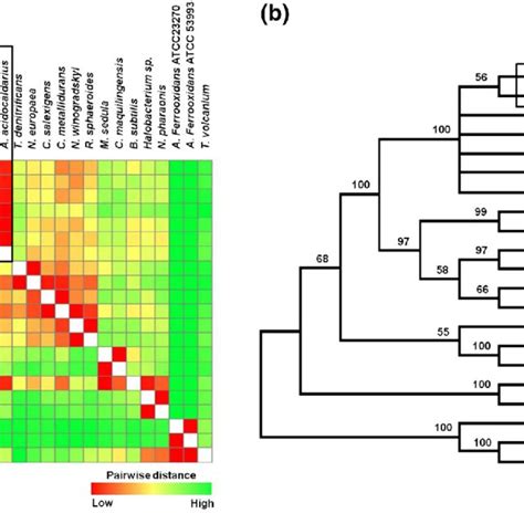 A Heatmap Representing The Pairwise Distance Score Obtained Using Download Scientific Diagram
