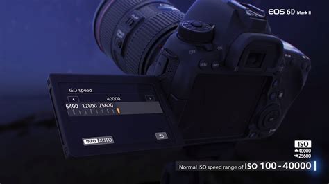 Best Canon DSLR Cameras For Beginners Enthusiasts And Pros Review