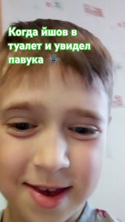 Пов когда боишься пауков 🫢😬🕷️🕸️ Youtube