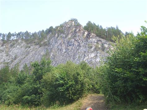 belaj