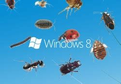 Google S Security Team Lights Fire Under Microsoft In Finding 3 Windows Bugs
