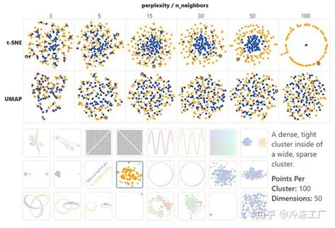 机器学习算法：umap 深入理解 知乎