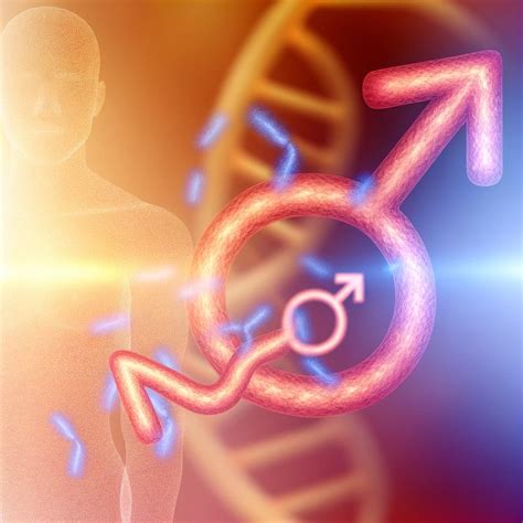 Biologpt Are You Male With Xy Chromosomes