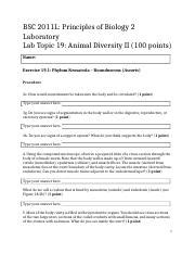 Bsc L Topic Lab Report Template Docx BSC L Principles Of