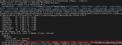 音视频入门基础：mpeg2 Ts专题（21）——ffmpeg源码中，获取ts流的视频信息的实现怎么获取一个ts文件是什么编码格式 Csdn博客