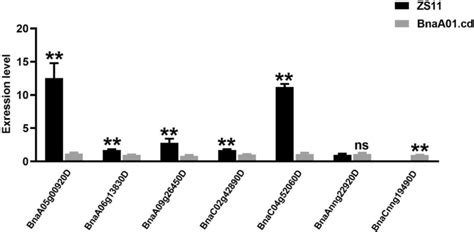 Relative Expression Levels Of Degs Related To The Photosynthesis System Download Scientific