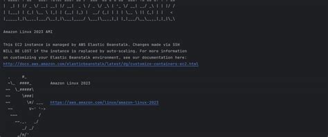 Run Springboot Application With Elastic Beanstalk Ssh And Ec2 Dev