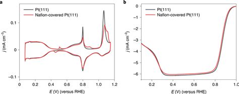 Effects Of Nafion Coating On The Voltammetry And Oxygen Reduction