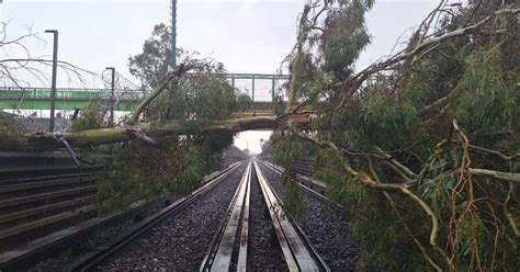 Caída De Dos árboles Deja Sin Servicio La Línea B Del Metro Cdmx Y