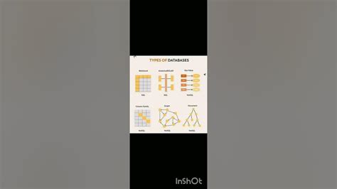 Databasesql Coding Programming Programmerlife Youtube