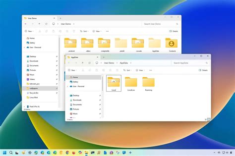 what is the appdata folder windows 11 app data storage explained