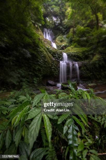 Ping Xi Photos And Premium High Res Pictures Getty Images