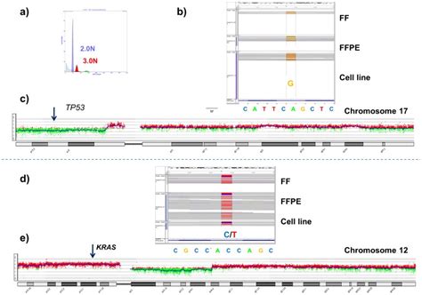 Whole Exome Sequencing Of Sorted Fresh Frozen Ff And Formalin Fixed Download Scientific