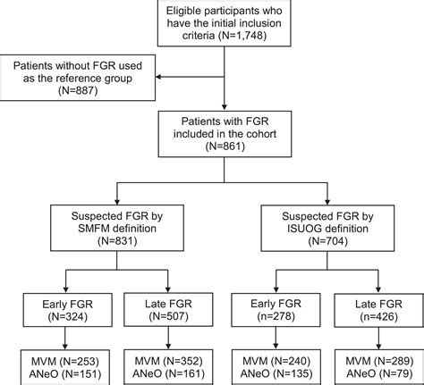 Placental Pathology Lesions International Society For Ultrasound In