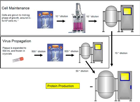Figure 1 From Innovations In The Insect Cell Expression System For Industrial Recombinant