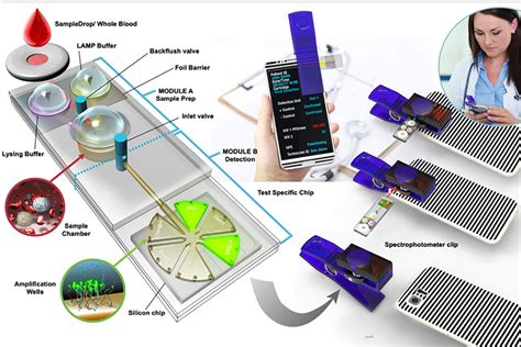 Portable Testing Device Clipped To Smartphone To Detect Pathogens