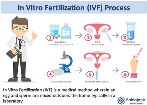 Comprehensive Ivf Process Guide Start To Finish