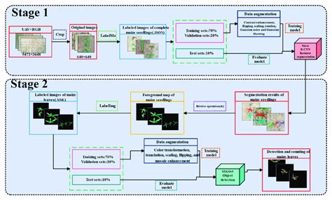 Flow Chart Of Maize Seedlings And Leaves Detection Download Scientific Diagram
