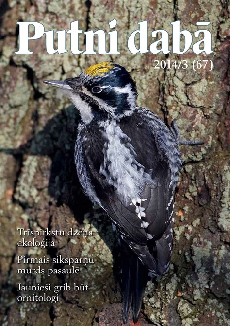 Putni Dabā 67 20143 Putni Dabā