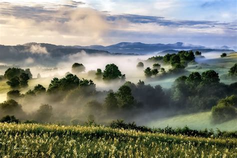 Targu Lapus Mai 2025 Cotosra