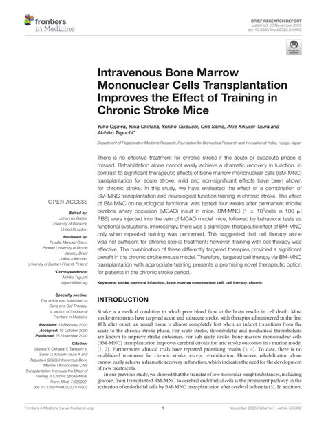 Pdf Intravenous Bone Marrow Mononuclear Cells Transplantation