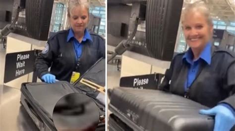 TSA Agent Wanted To See Suspicious Item In Womans Luggage And Was Greeted By A Huge D Ldo
