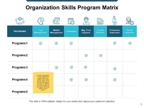 Organization Skills Program Matrix Ppt Powerpoint Presentation Model