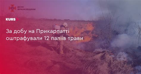 За добу на Прикарпатті оштрафували 12 паліїв трави Курс