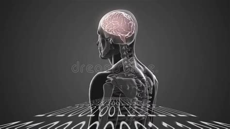 human anatomy with brain and spine over binary code animation stock
