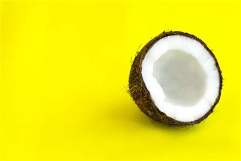 「coconat」の写真素材 362件の無料イラスト画像 Adobe Stock