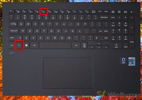 How To Enable Or Disable The Touchpad On Windows 11