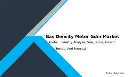 Gas Density Meter Gdm Market Report Global Forecast From 2025 To 2033