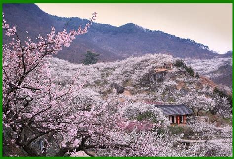 Encoding Of The Iconlab InterCode