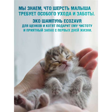 Шампунь для котят и щенков Ecozavr Эко с антибактериальным эффектом