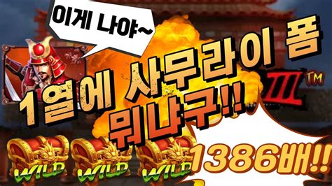 하이라이트 9월11일 슬롯현무 하이라이트 1열 사무라이 형님 미쳤다 슬롯현무슬롯게임 슬롯맥스윈레전드하이라이트프라그마틱 슬롯라이브사무라이3