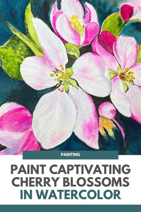 Paint Captivating Cherry Blossoms In Watercolor Urbaki Art